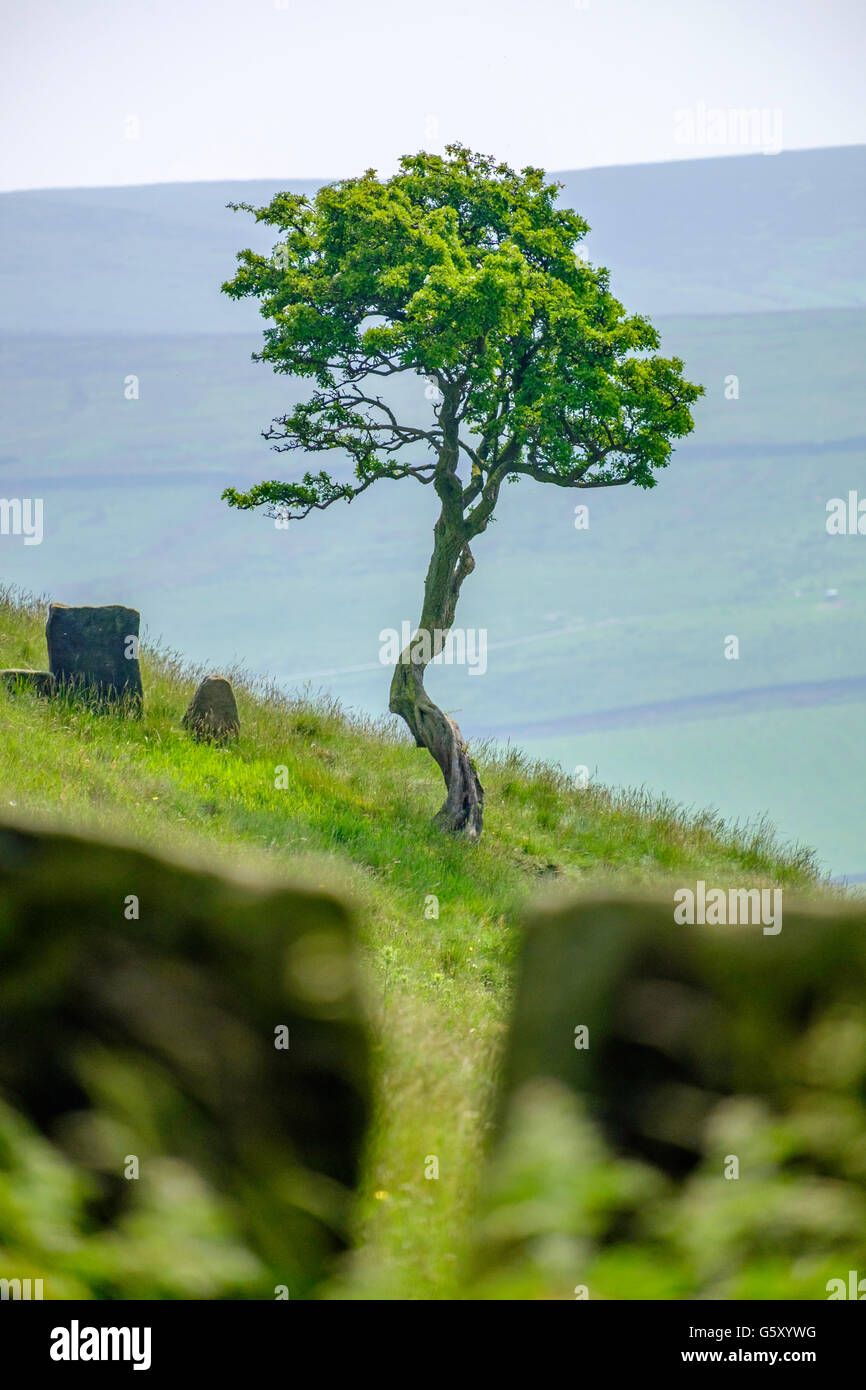 Wycoller Country Park Stock Photo - Alamy