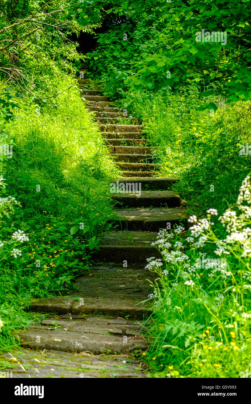 Packhorse bridge wycoller hi-res stock photography and images - Alamy