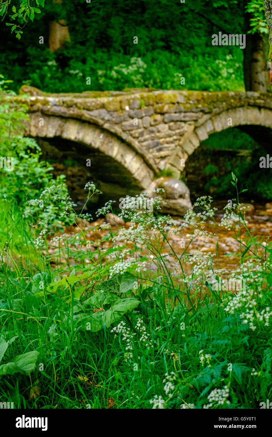 Packhorse bridge wycoller hi-res stock photography and images - Alamy