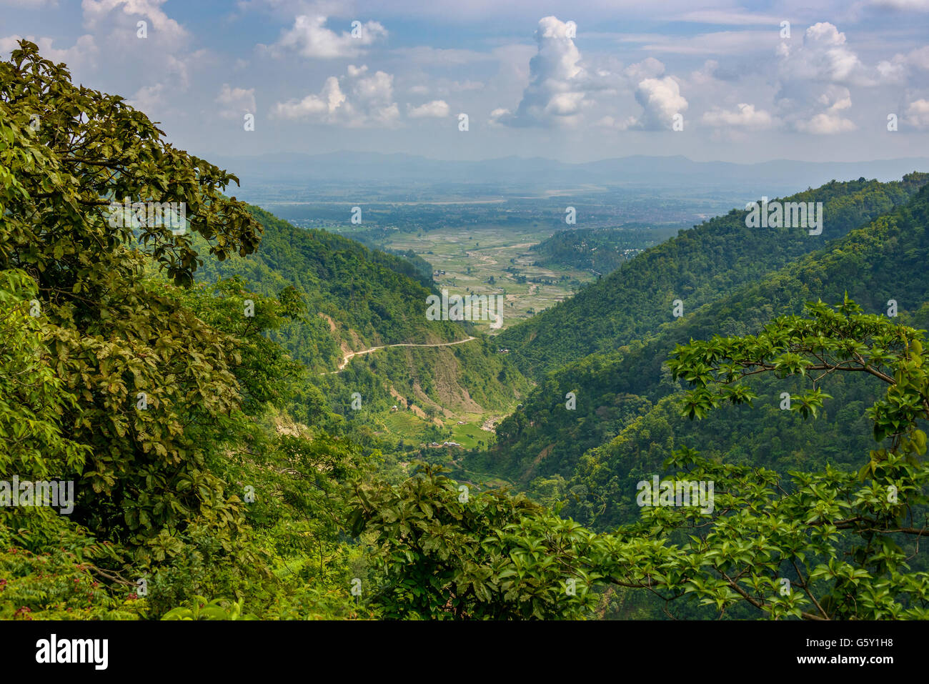 Dang it hi-res stock photography and images - Alamy