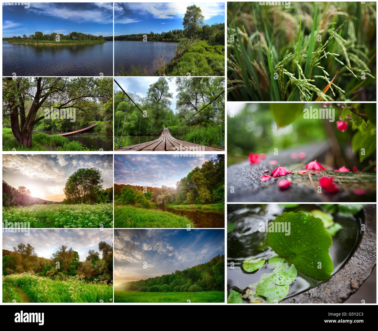 Spring summer fall winter hi-res stock photography and images - Alamy