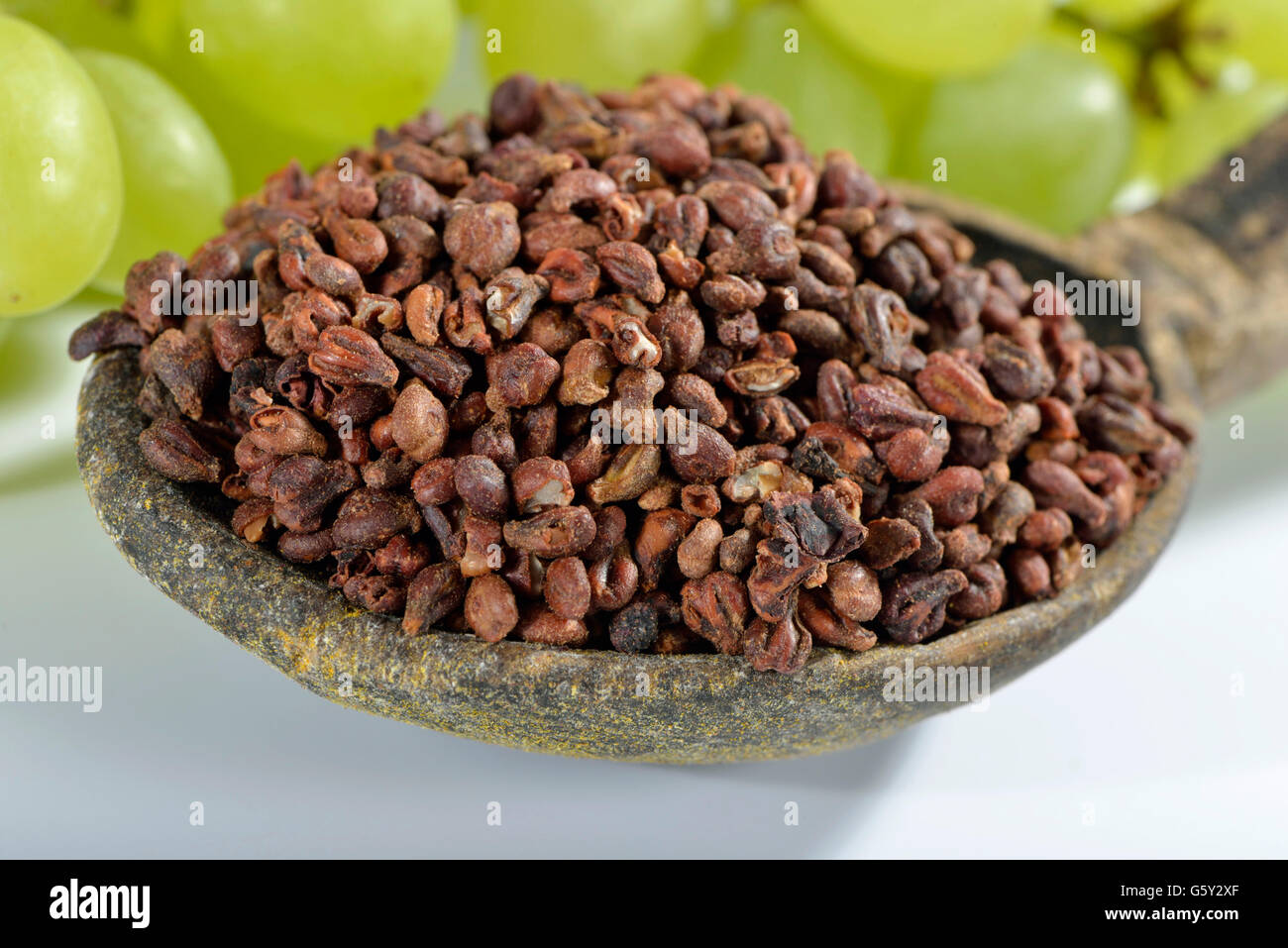 Grape seed / (Vitis vinifera subsp. vinifera Stock Photo - Alamy