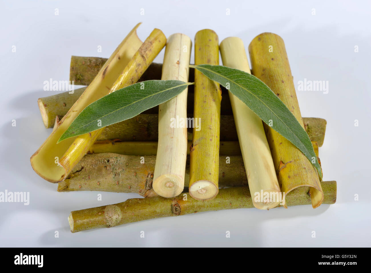 White willow bark hi-res stock photography and images - Alamy