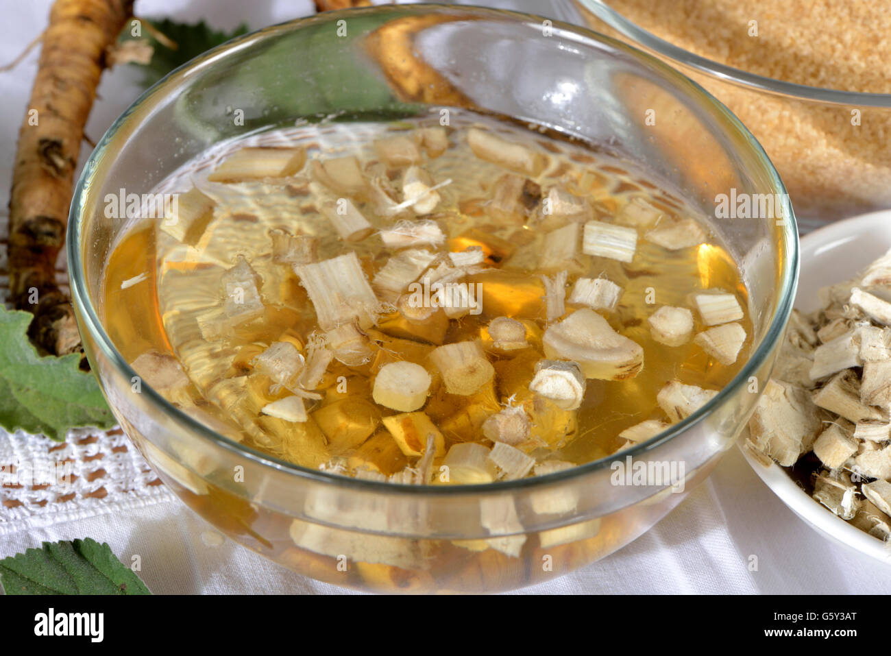 Marsh Mallow, production root syrup / (Althea officinalis Stock Photo ...