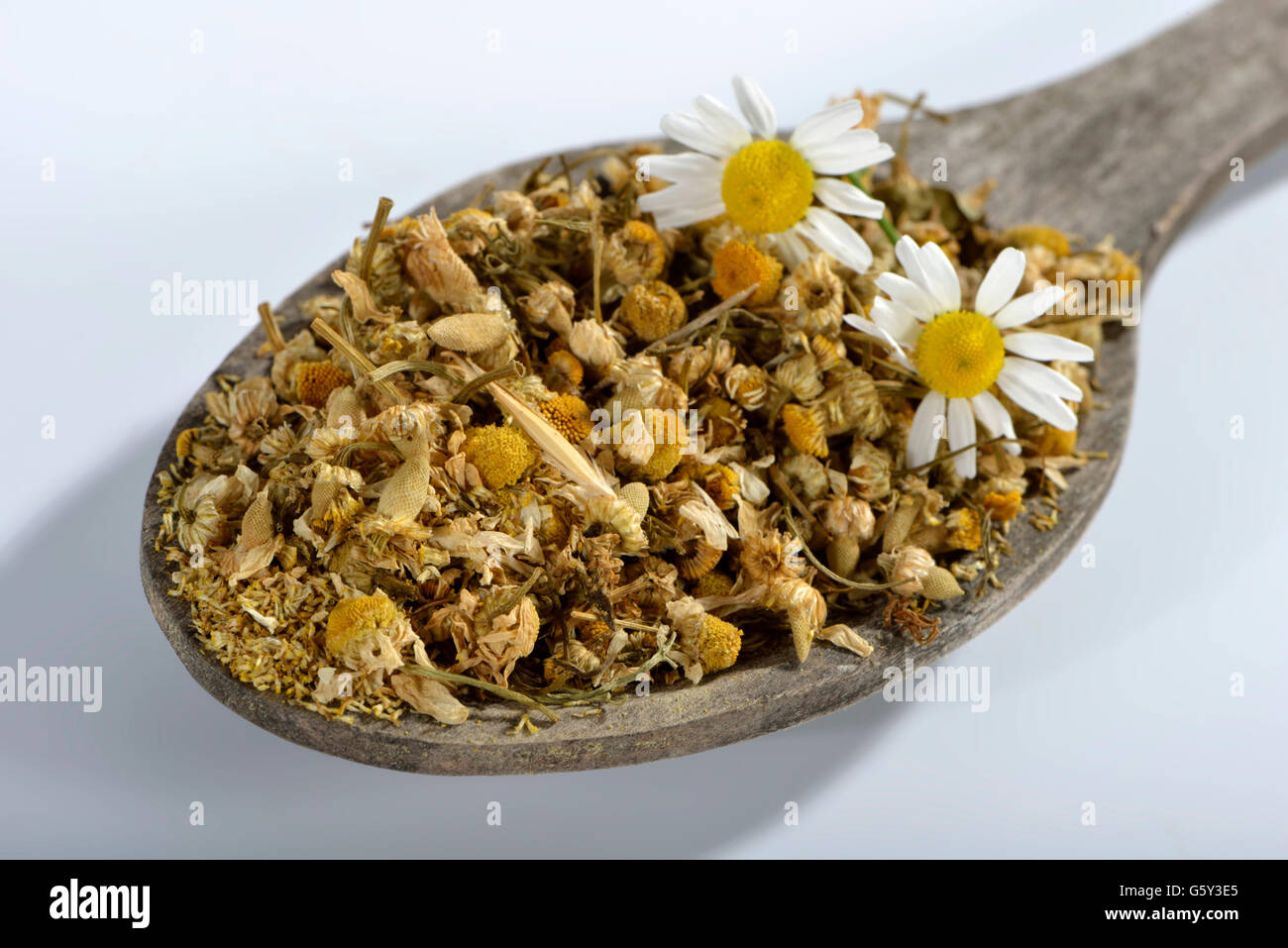 Chamomile image hi-res stock photography and images - Alamy