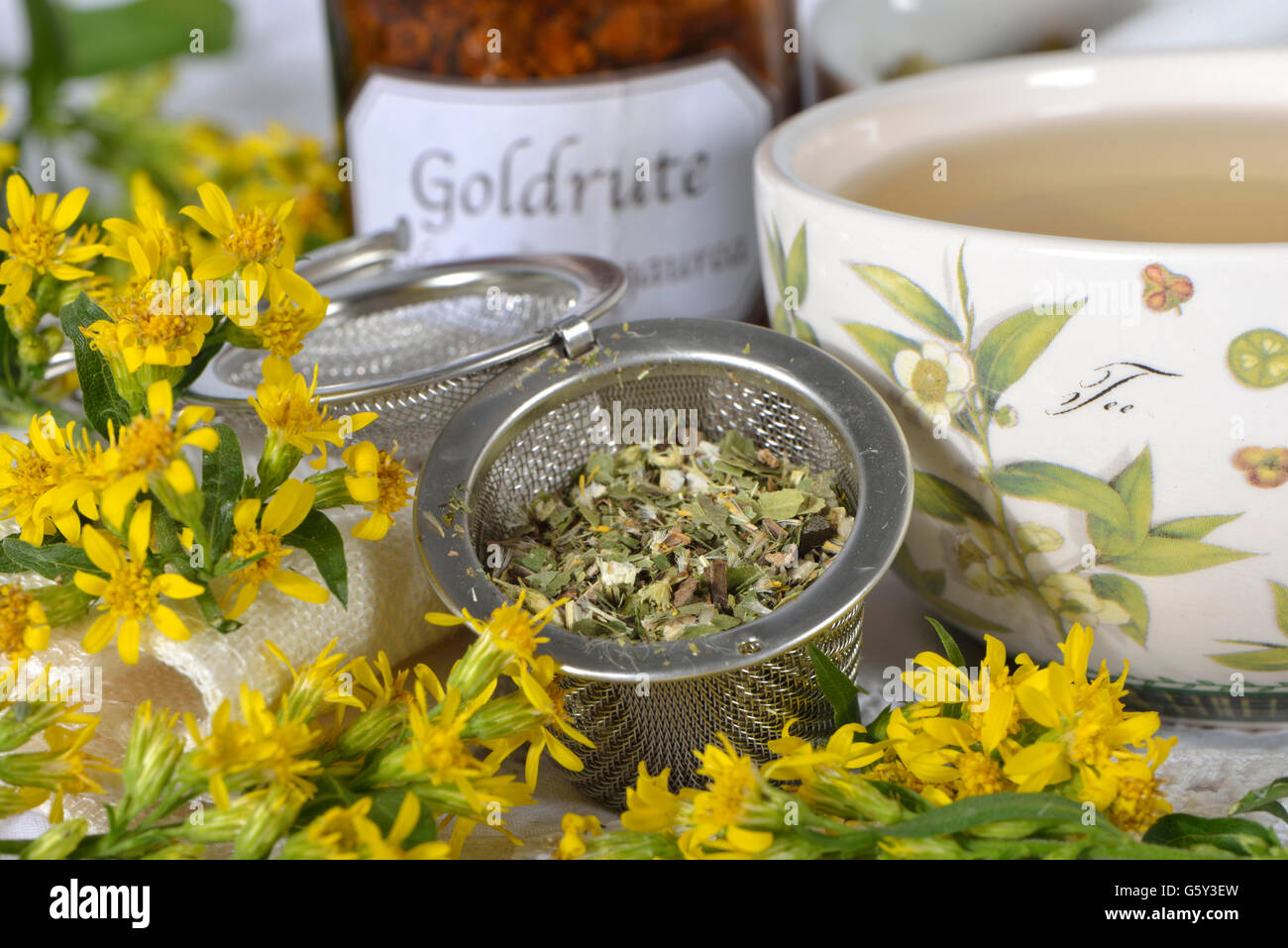 Goldenrod tea / (Solidago virgaurea Stock Photo - Alamy
