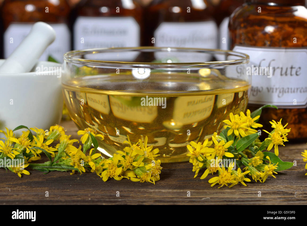 Goldenrod tea / (Solidago virgaurea Stock Photo - Alamy