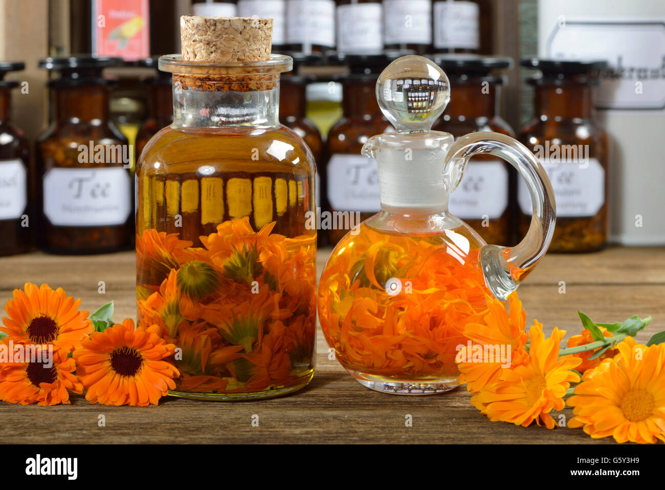 Marigold flowers oil / (Calendula officinalis Stock Photo - Alamy