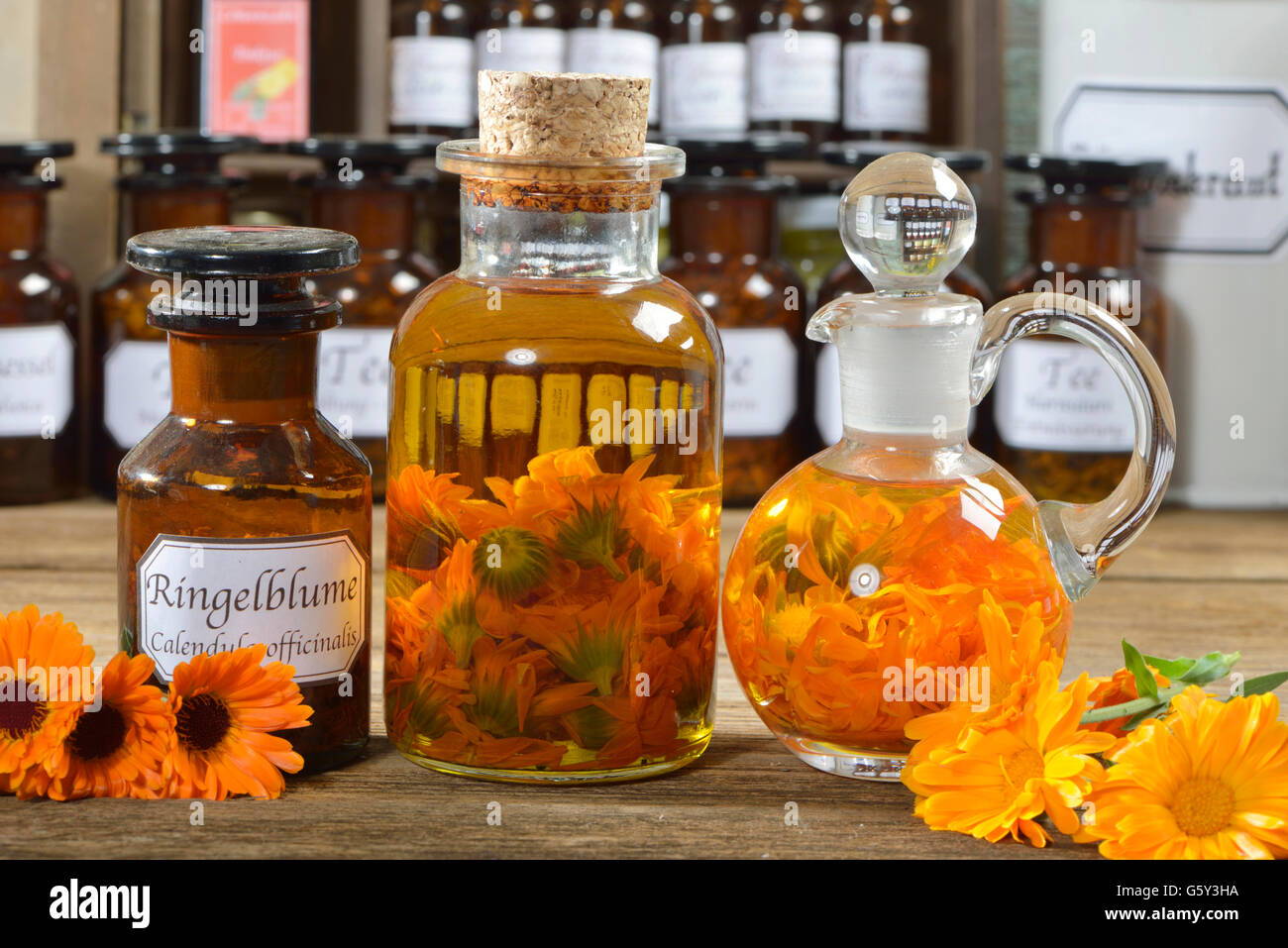 Marigold flowers oil / (Calendula officinalis Stock Photo - Alamy