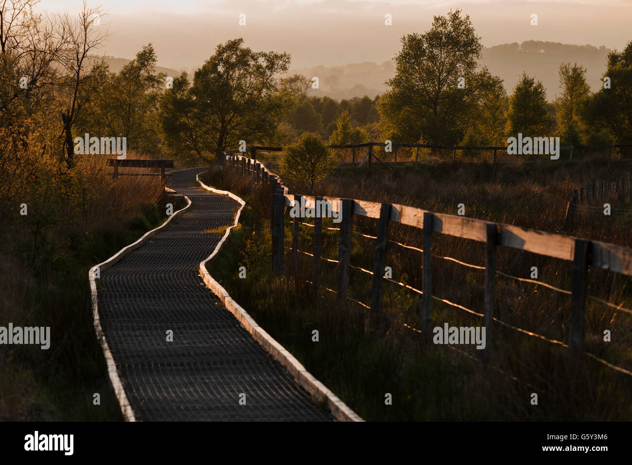 Near sunset on the boardwalk at Cors Caron National Nature Reserve ...