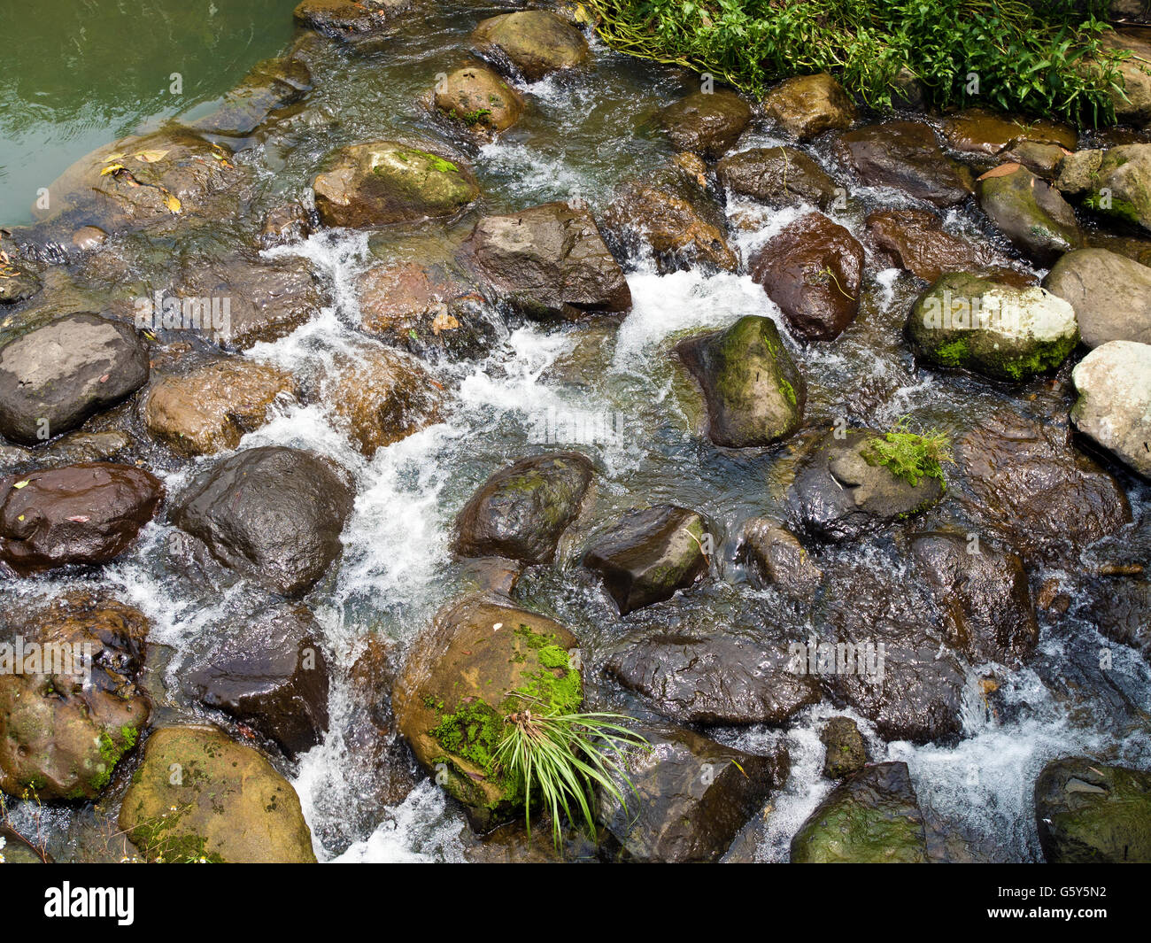 Pebbles in stream hi-res stock photography and images - Alamy
