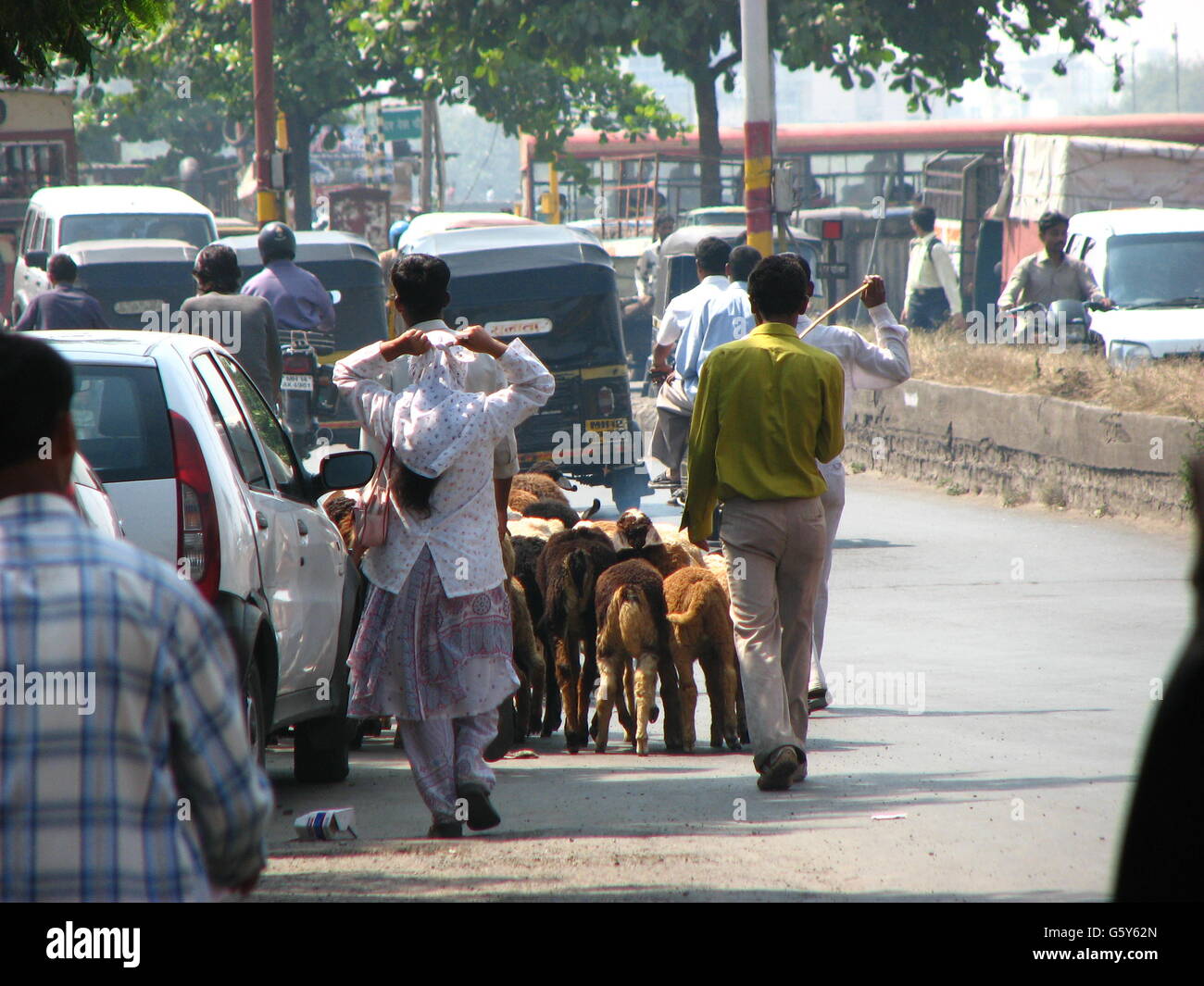 Busy Indian road with vehicles, humans and animals Stock Photo - Alamy