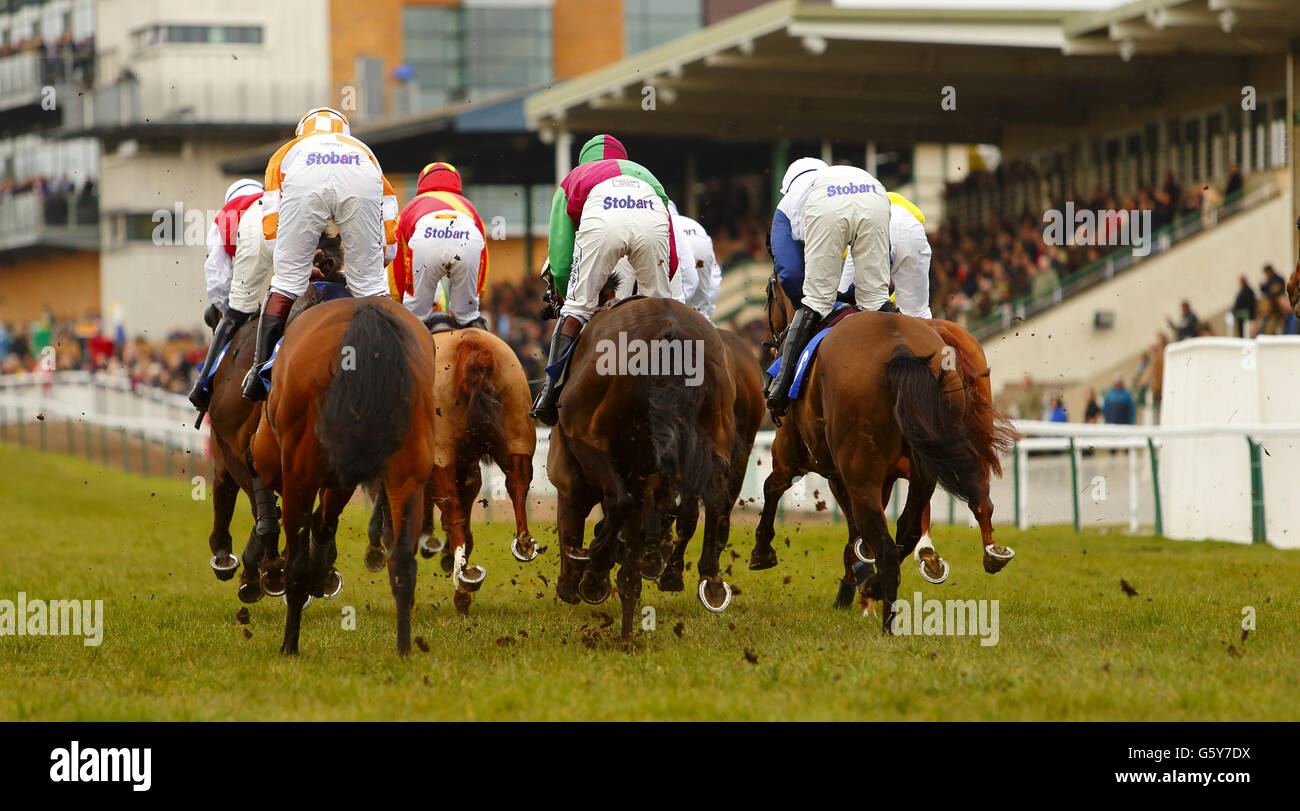 Fontwell park racecourse hi-res stock photography and images - Alamy