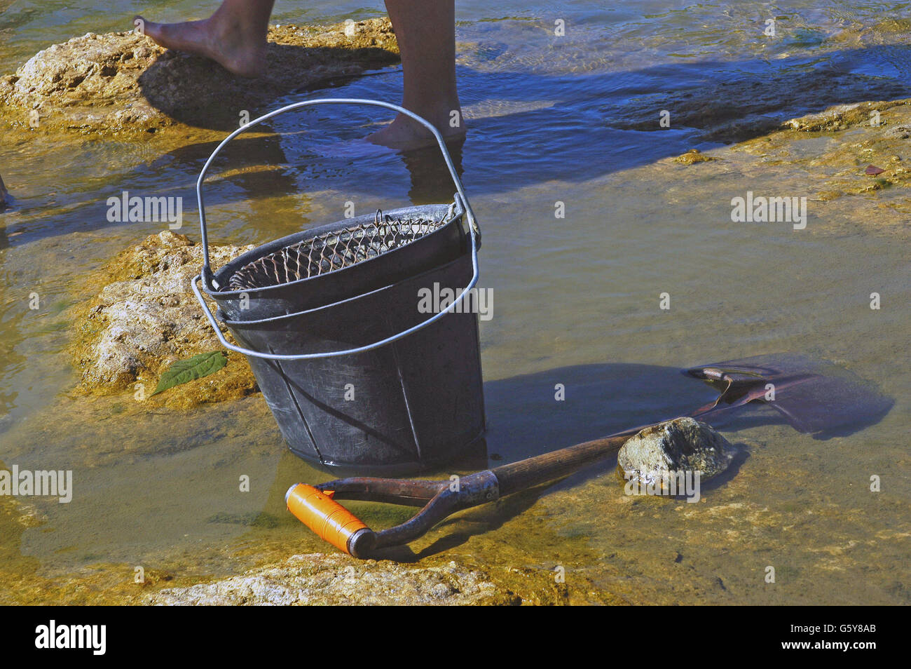 tools of the gold washer Stock Photo - Alamy