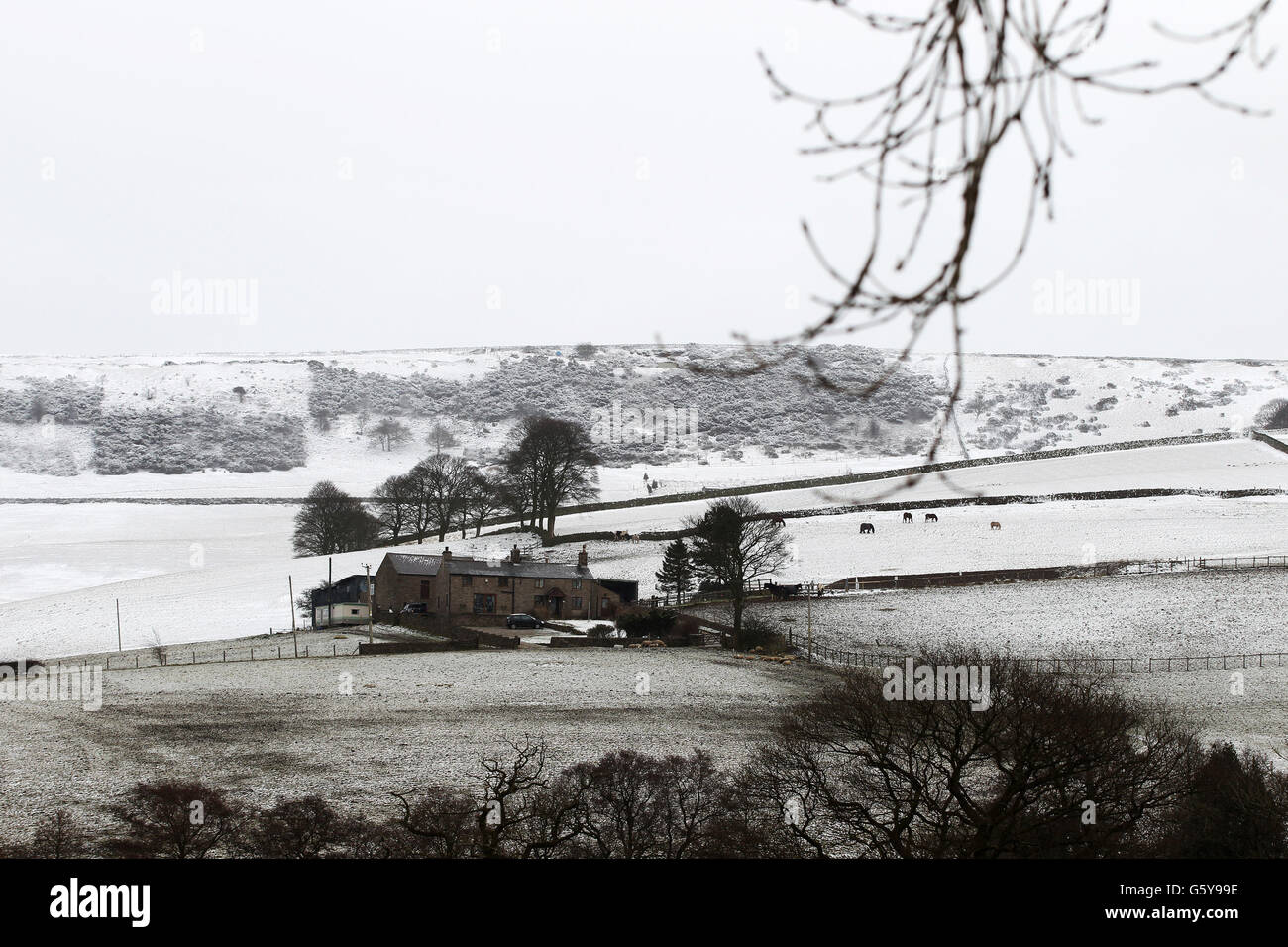 The snowy scene in Wincle, Cheshire, as a return of freezing ...