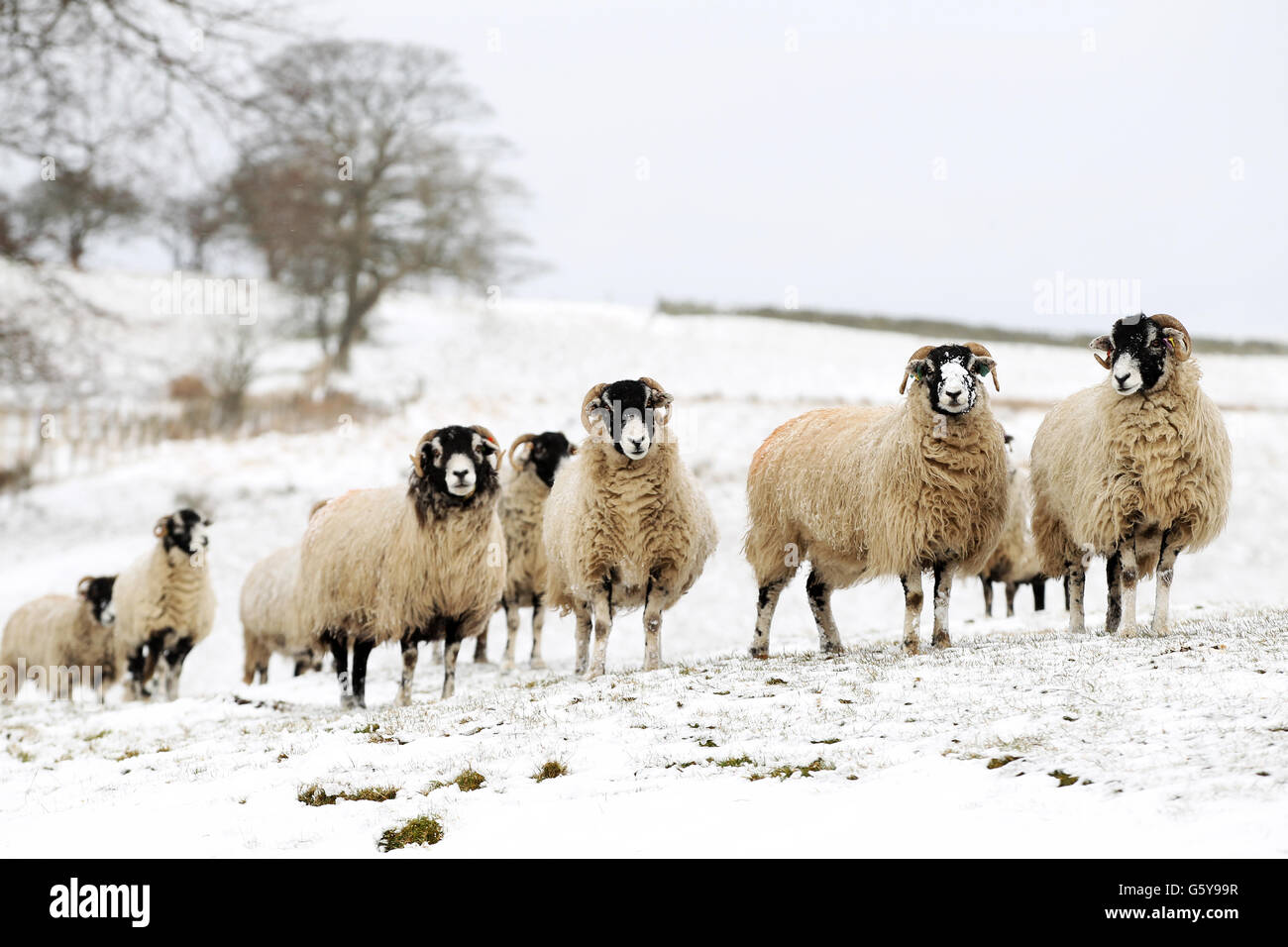 Winter Weather - March Stock Photo - Alamy