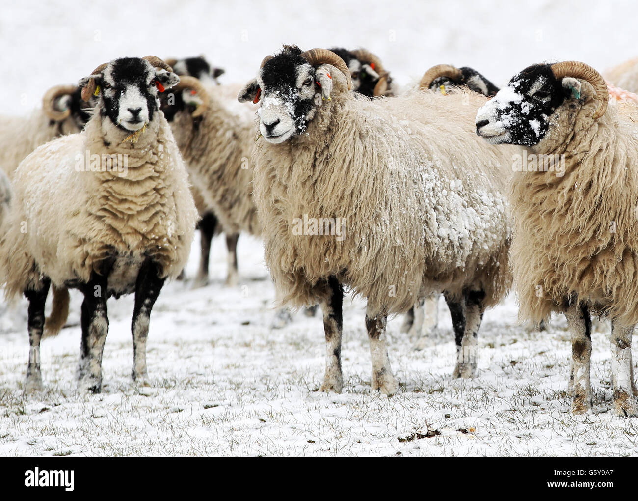 Winter Weather - March Stock Photo - Alamy