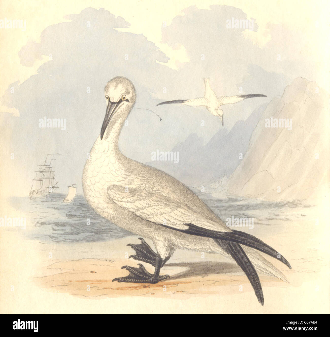 Mudie High Resolution Stock Photography and Images - Alamy