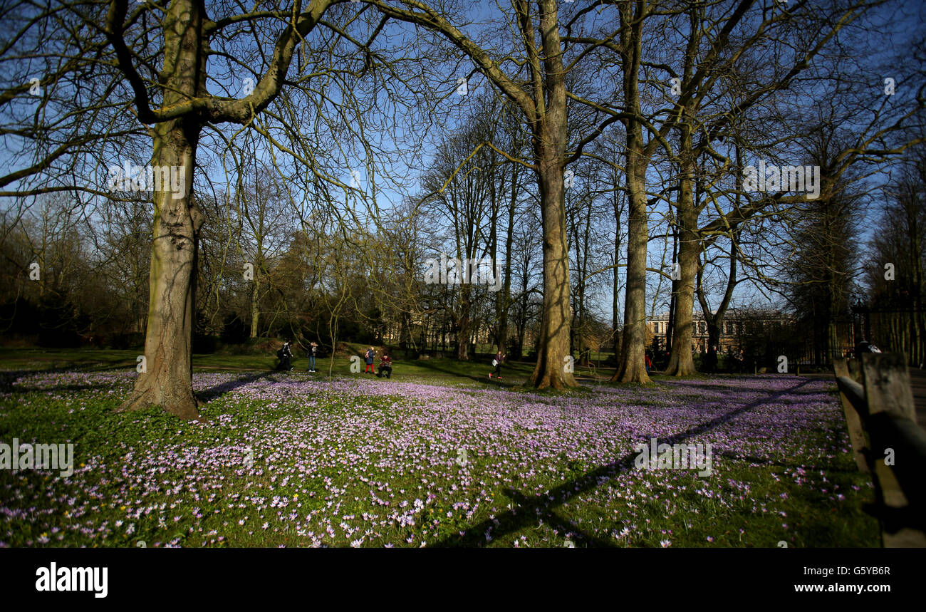 Bloom along backs hi-res stock photography and images - Alamy