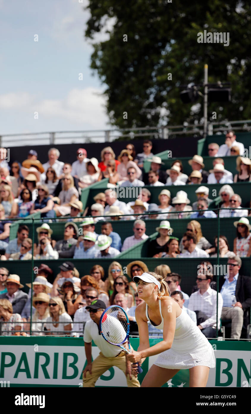 Maria Sharapova, a Russian professional tennis player playing at a ...