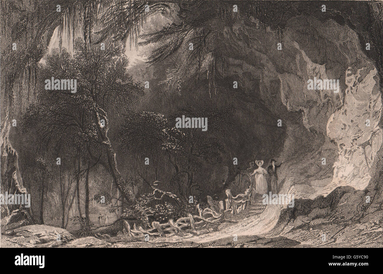 COUNTY DURHAM: The Grotto, in Castle Eden Dene. ALLOM, antique print ...