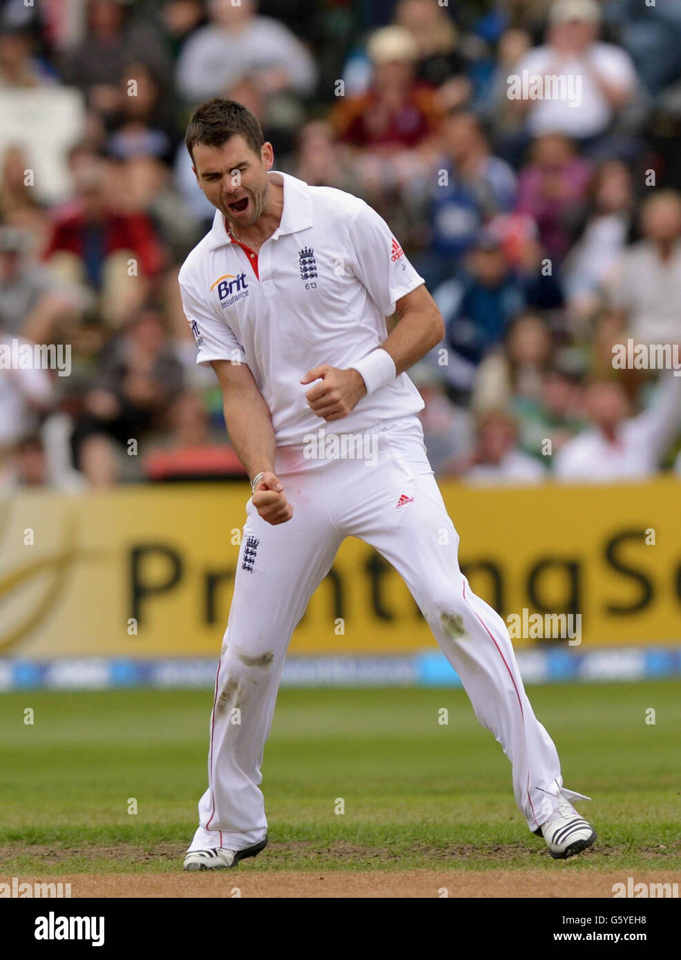 England's James Anderson celebrates taking the wicket of New Zealand's ...