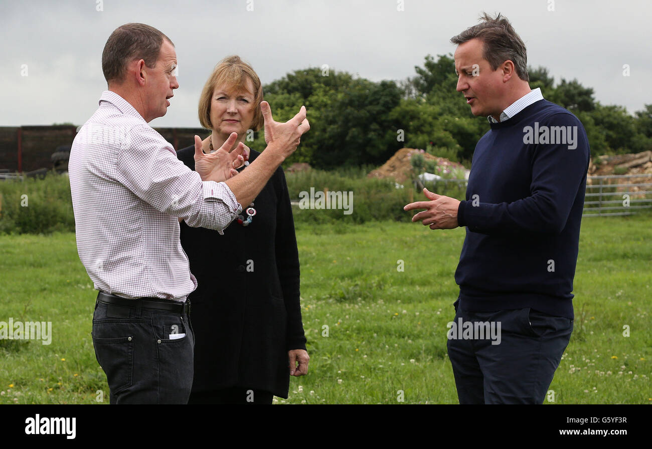 Prime Minister David Cameron and Labour's Harriet Harman talk with ...
