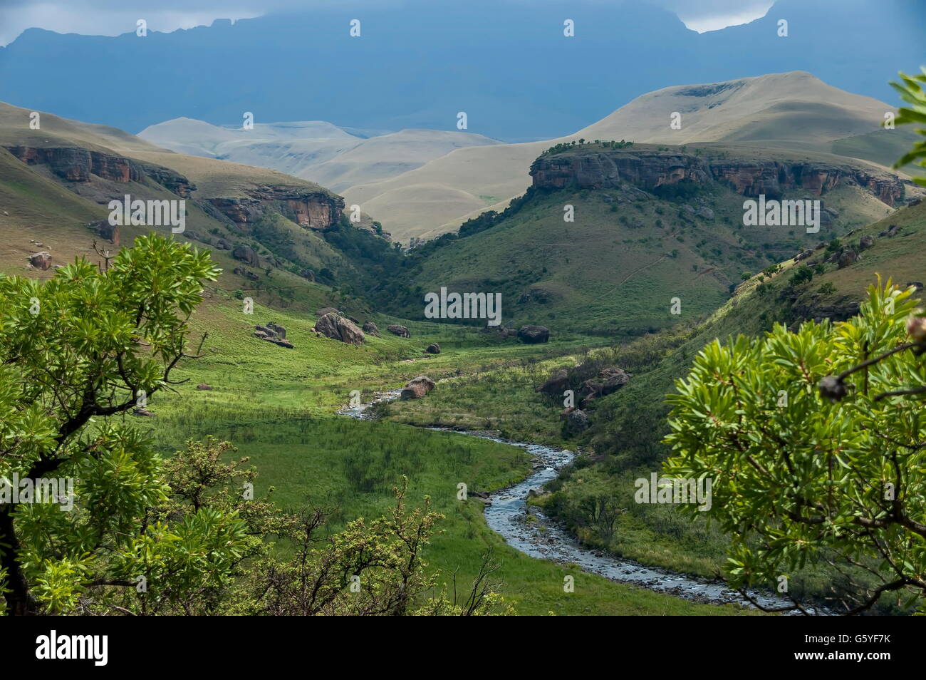 The Bushmans River in Giants Castle KwaZulu-Natal nature reserve ...