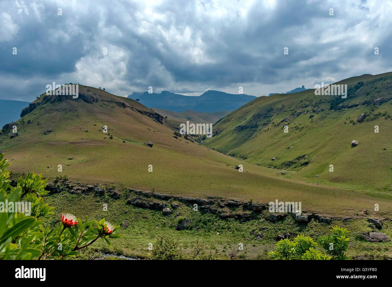 Giants Castle KwaZulu-Natal nature reserve, Drakensberg South Africa ...