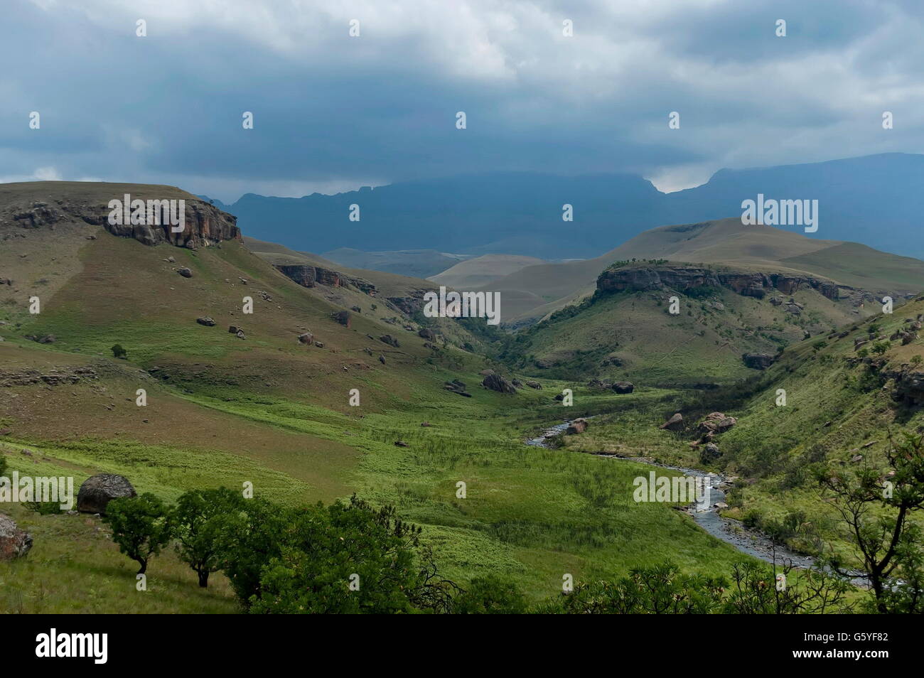 The Bushmans River valley in Giants Castle KwaZulu-Natal nature reserve ...