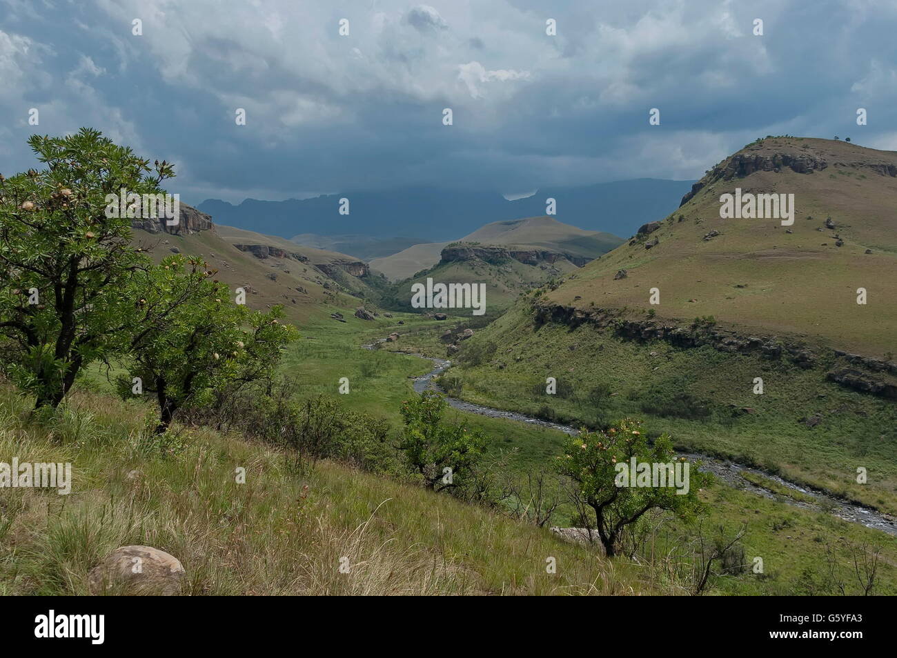 The Bushmans River valley in Giants Castle KwaZulu-Natal nature reserve ...