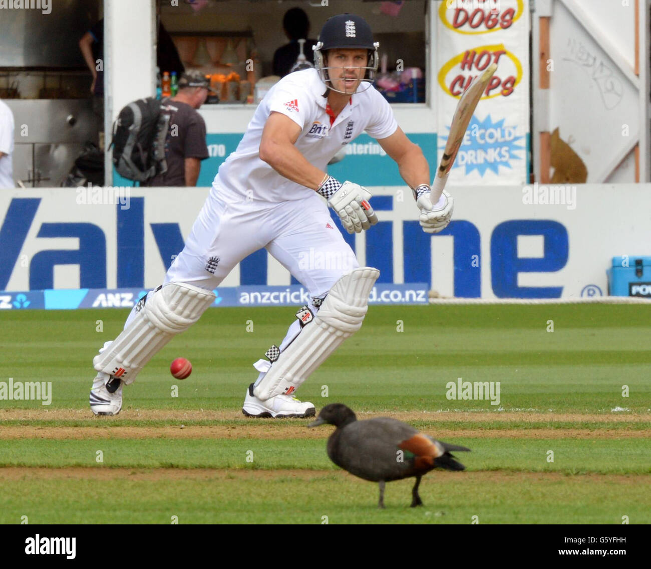 Nick compton cricket hi-res stock photography and images - Alamy