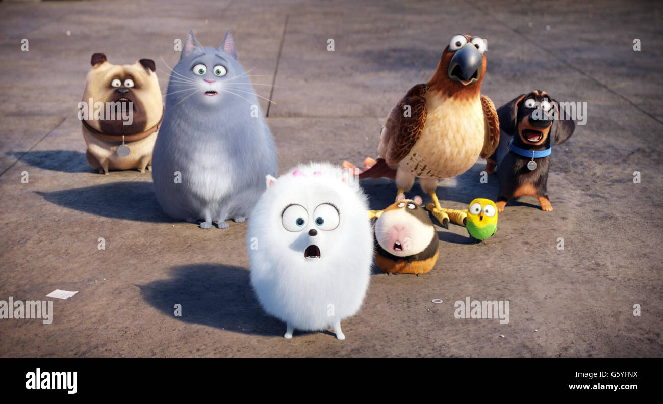 The Secret Life of Pets is an upcoming 2016 American 3D computer ...