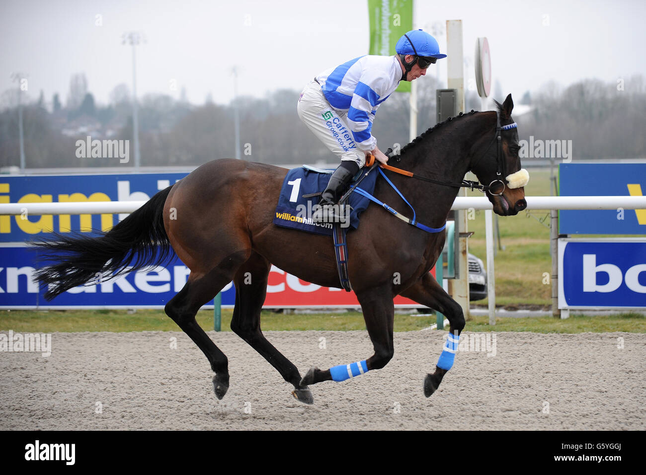Horse Racing - Lincoln Trial Day - Wolverhampton Racecourse. Capone ...