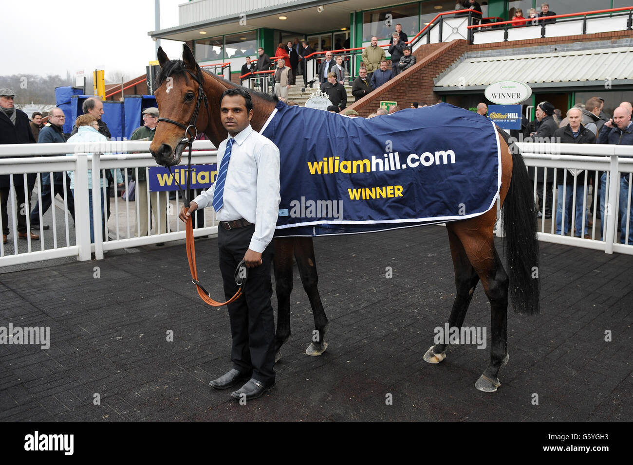Solar Deity after winning the williamhill.com E.B.F. Lady Wulfruna ...
