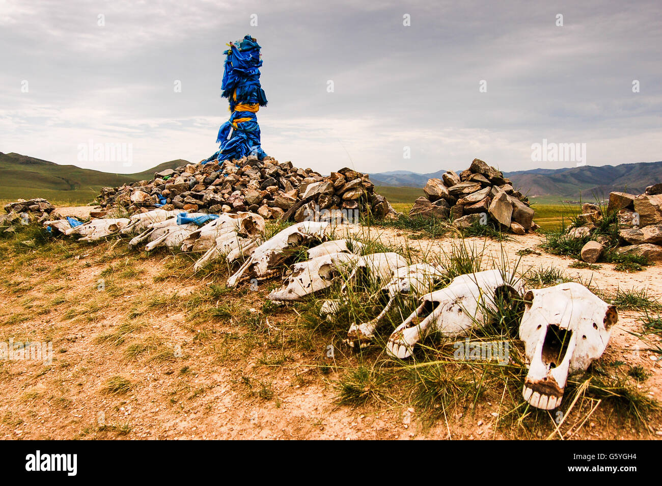Sacred cairn (ovoo) with prayer flags (khadag) & horse skulls, central ...