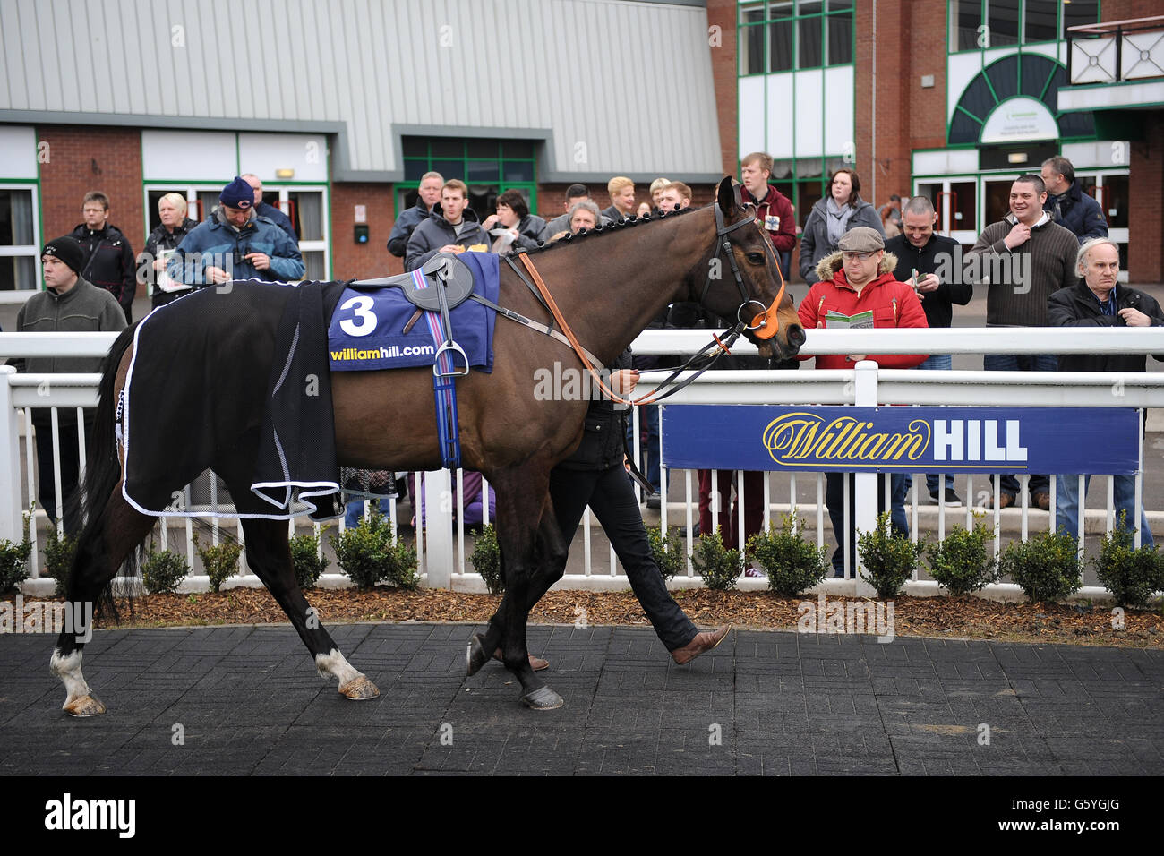 Horse Racing - Lincoln Trial Day - Wolverhampton Racecourse. Racegoers ...