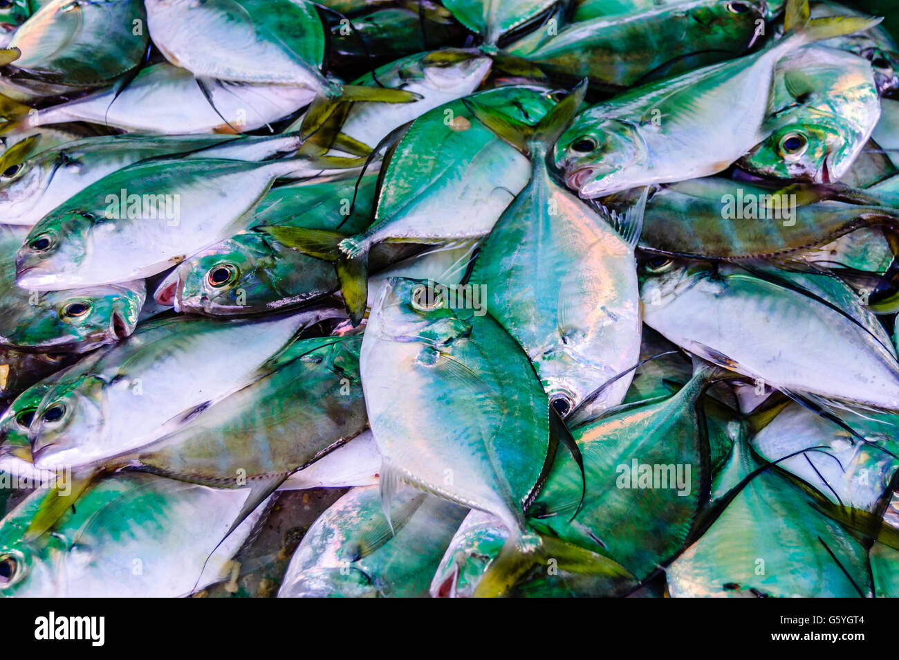 The fish stall restaurant hi-res stock photography and images - Alamy