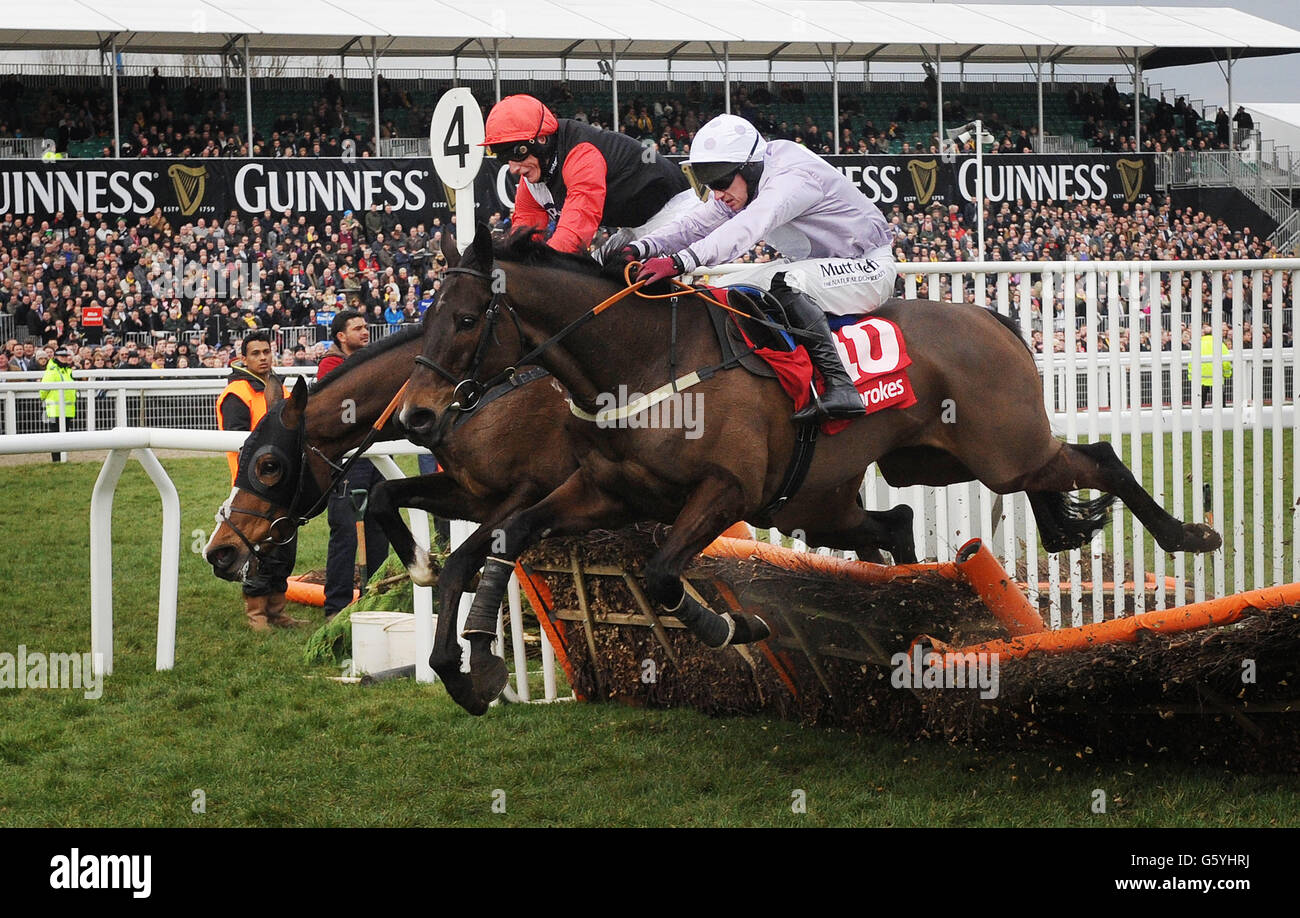 Paul carberry cheltenham hi-res stock photography and images - Alamy