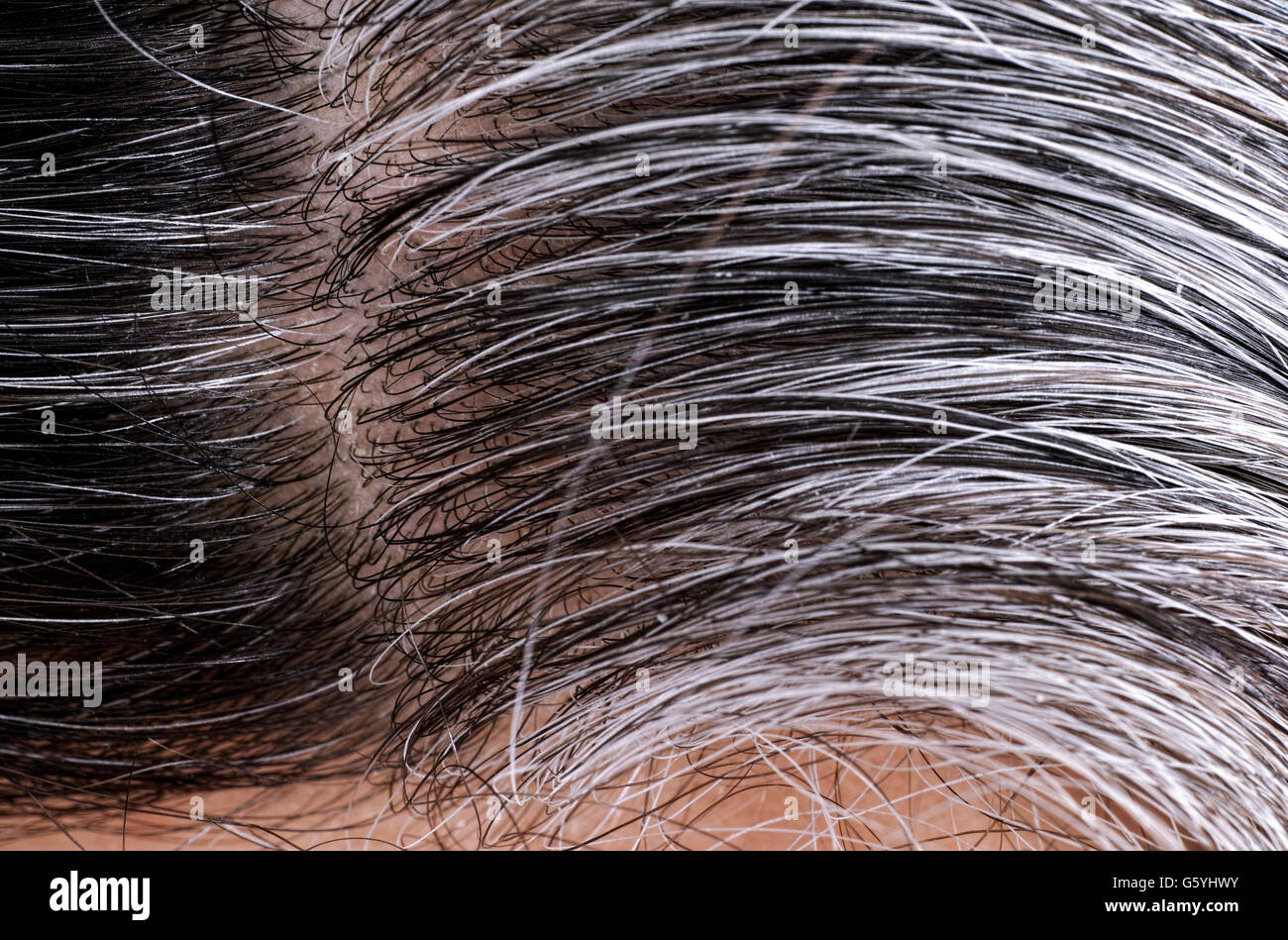 Women hair roots hi-res stock photography and images - Alamy