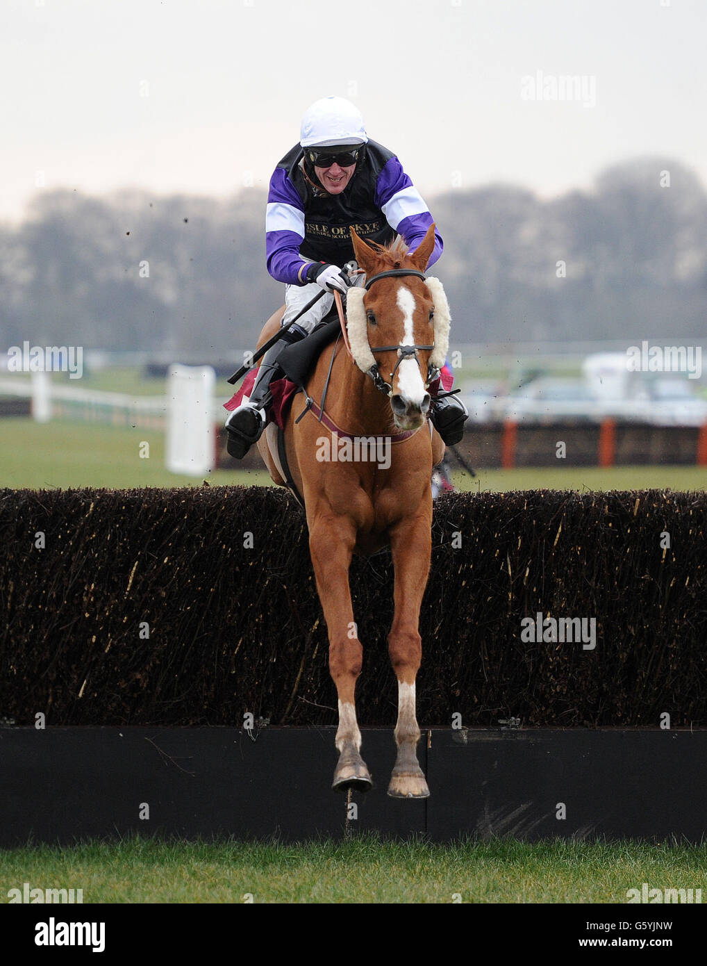 During the molson coors raceday at haydock park racecourse hi-res stock ...