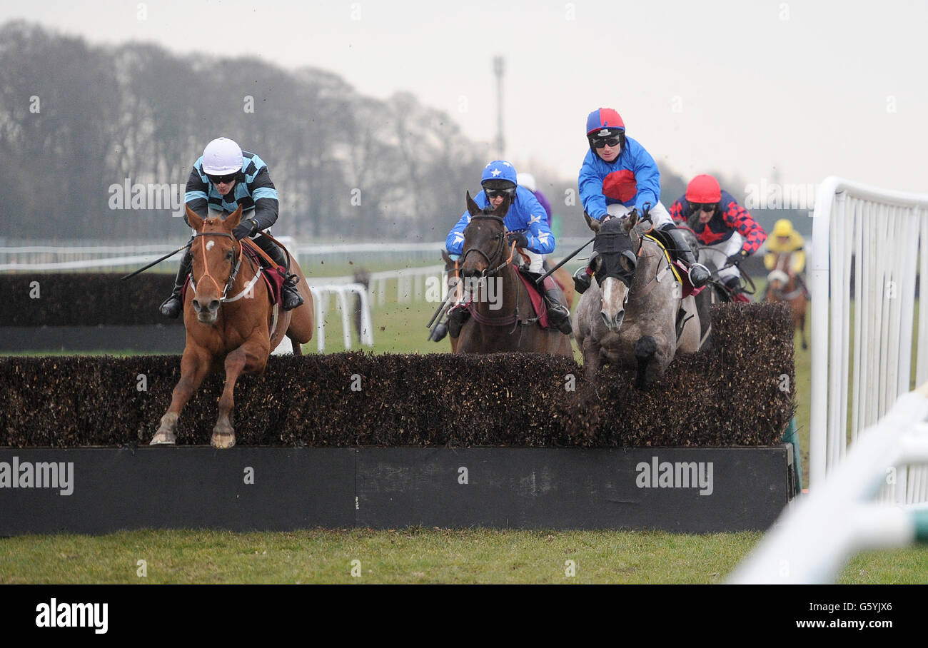 During the molson coors raceday at haydock park racecourse hi-res stock ...