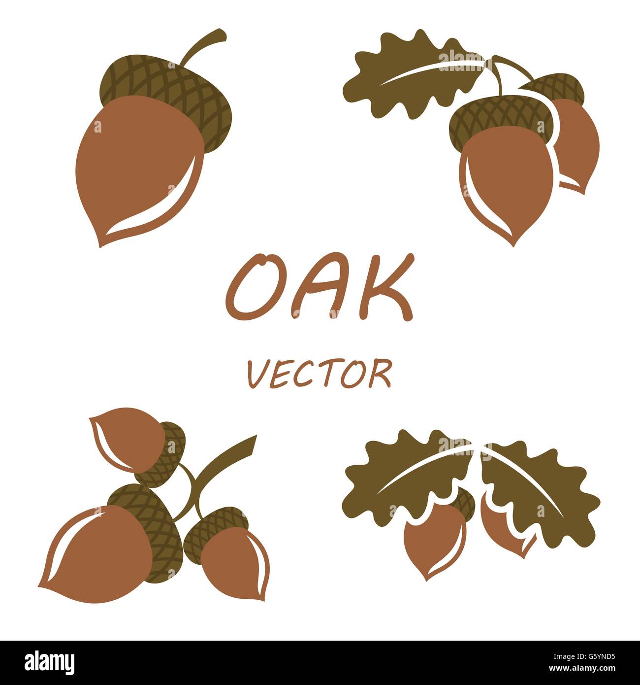 Vector flat oak icons set Stock Vector Image & Art - Alamy