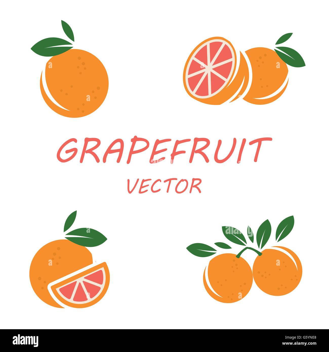 Vector flat grapefruit icons set Stock Vector Image & Art - Alamy