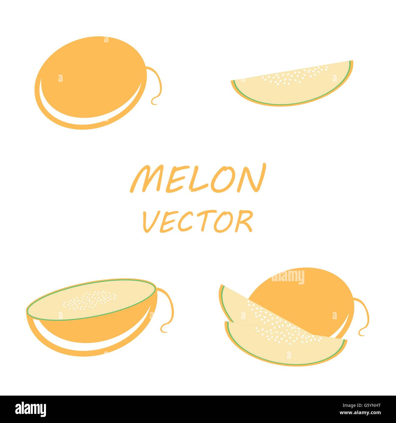 Vector flat melon icons set Stock Vector Image & Art - Alamy