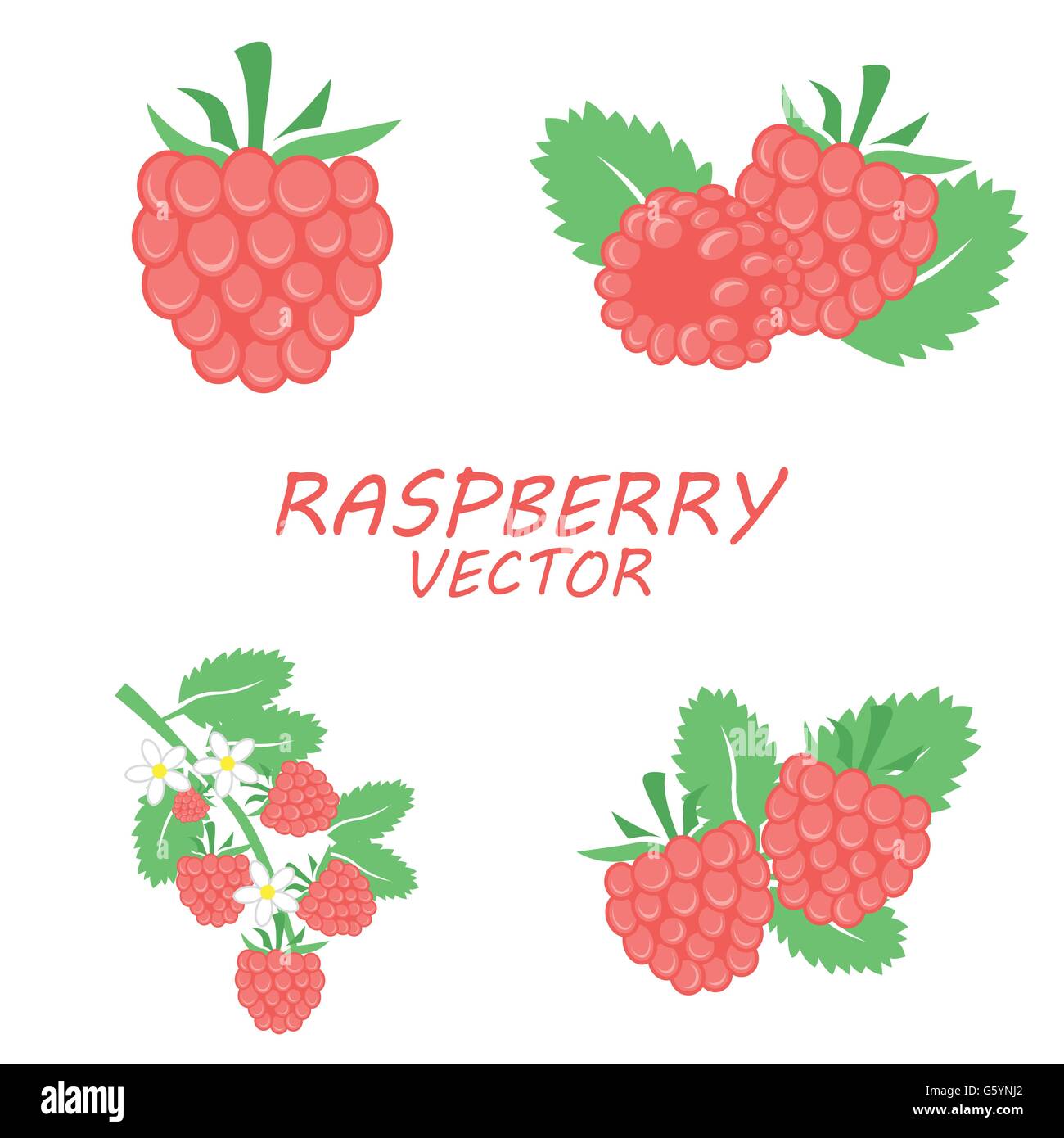 Vector flat raspberry icons set Stock Vector Image & Art - Alamy