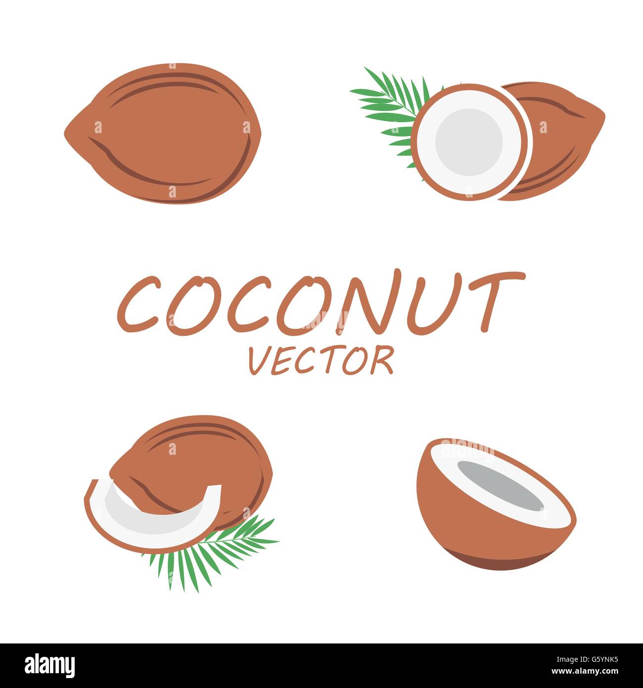 Vector flat coconut icons set Stock Vector Image & Art - Alamy