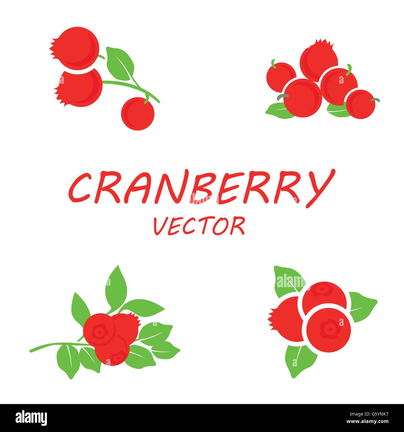 Vector flat cranberry icons set Stock Vector Image & Art - Alamy
