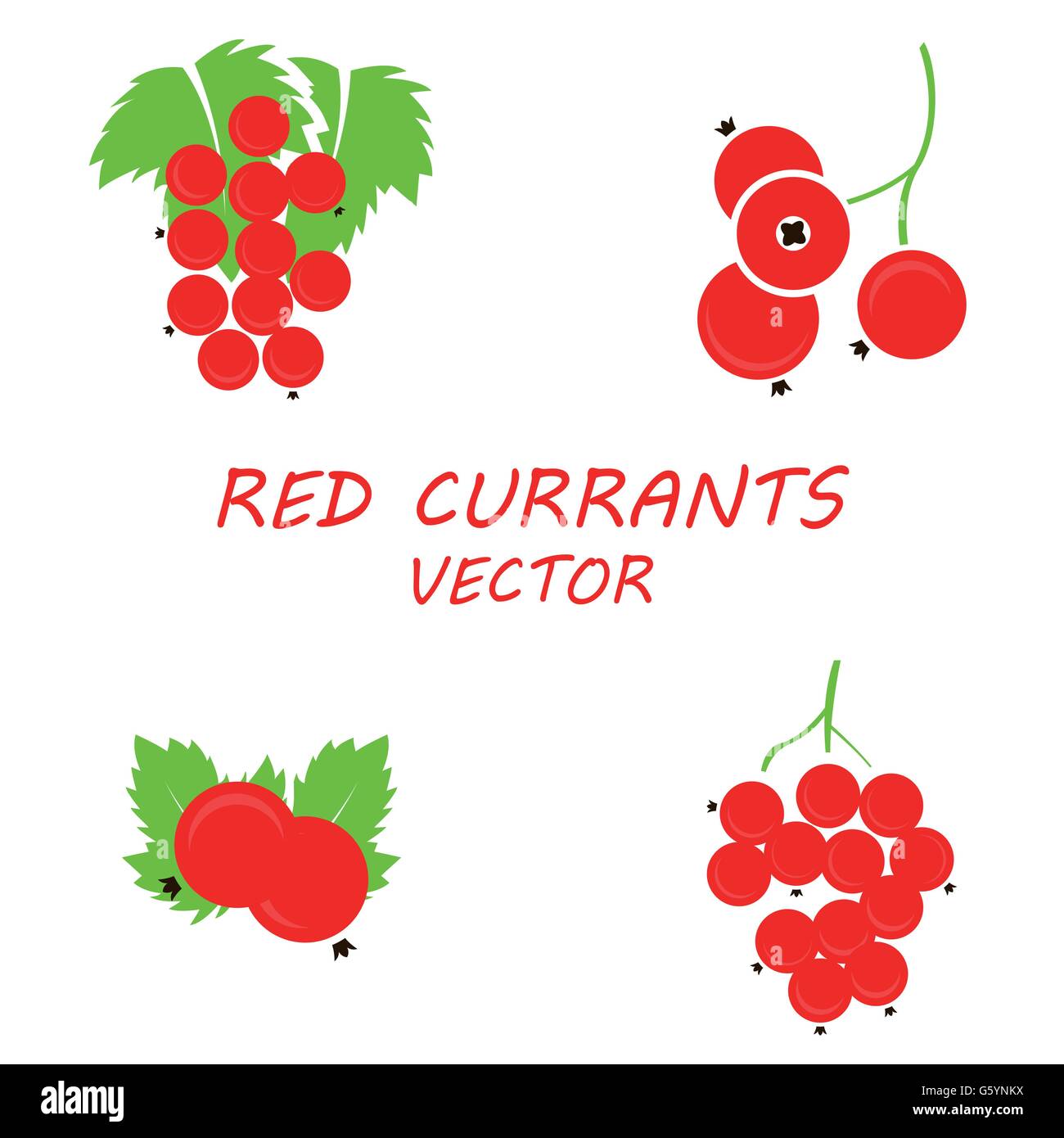 Currants and red Stock Vector Images - Alamy