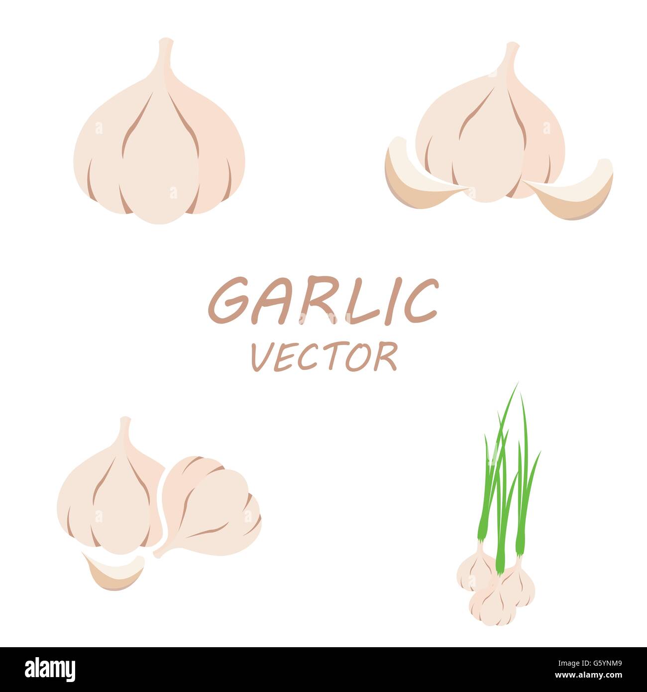Vector Garlic icons set Stock Vector Image & Art - Alamy